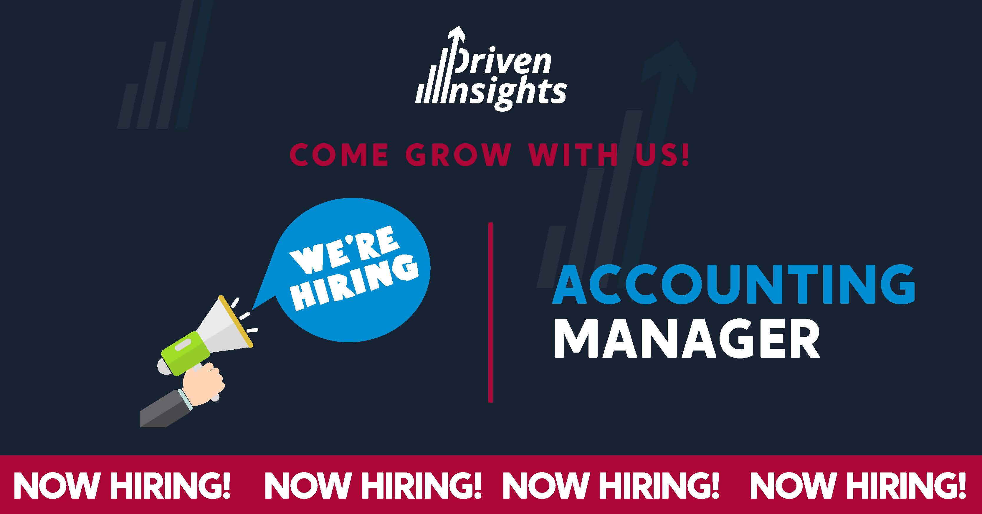 Driven Insights Careers - Accounting Manager