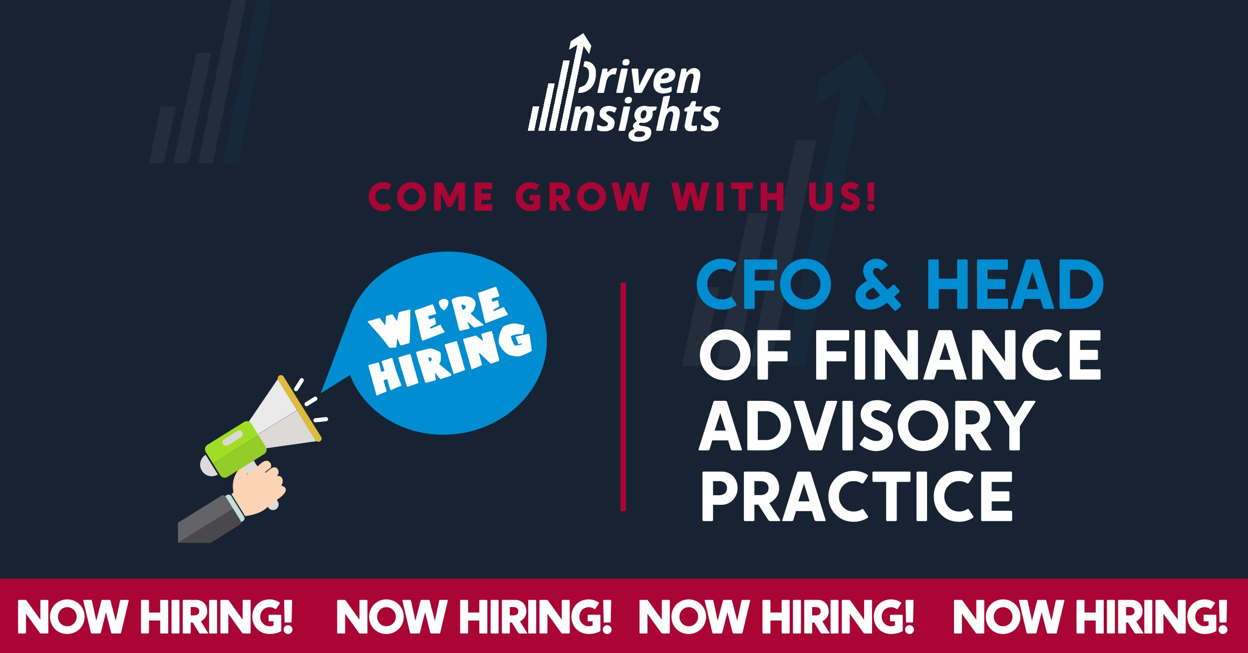Driven Insights Careers - SaaS CFO, Head of Finance