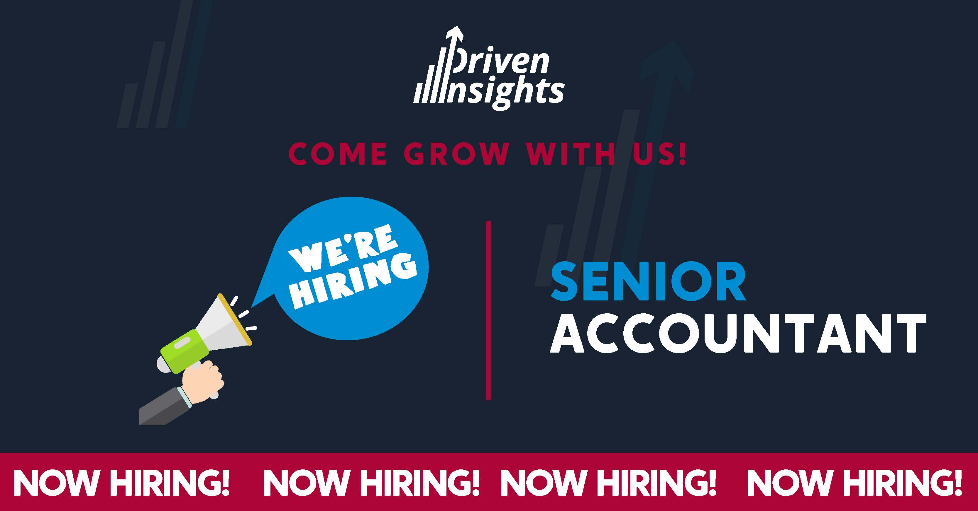 Driven Insights Careers - Senior Accountant